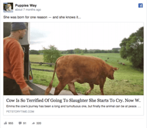 10 Irresistible Clickbait Facebook Advertising Examples