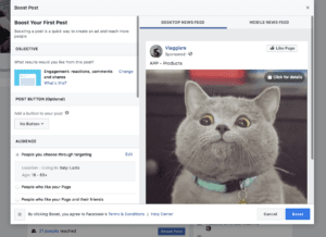 Automatic Post Promotion: Facebook's Boost Post Button on Steroids ...