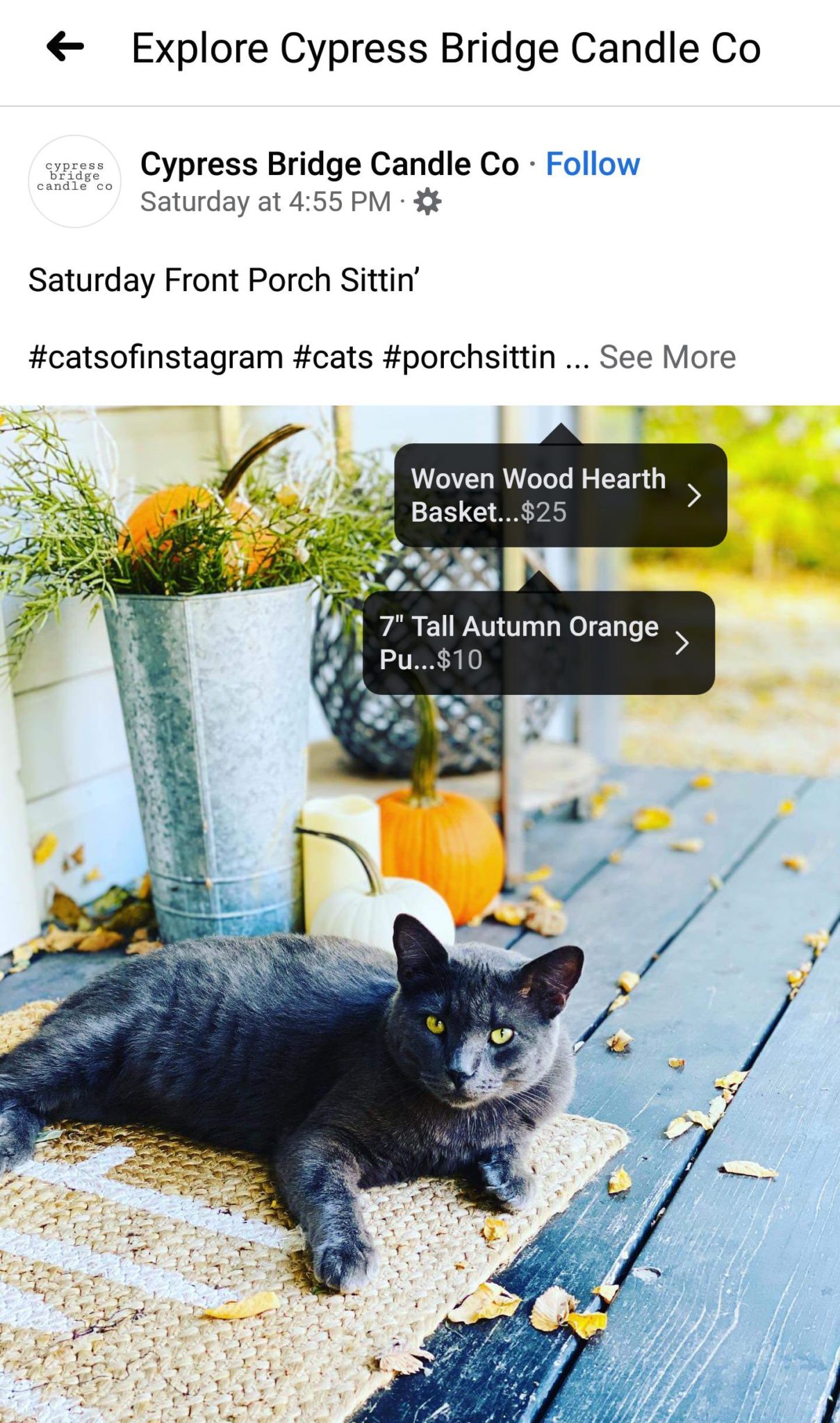 The Beginner's Guide to Facebook Shops (With Examples)